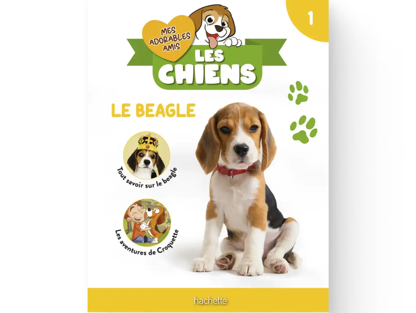 Mes adorables amis les chiens | Hachette Collections
